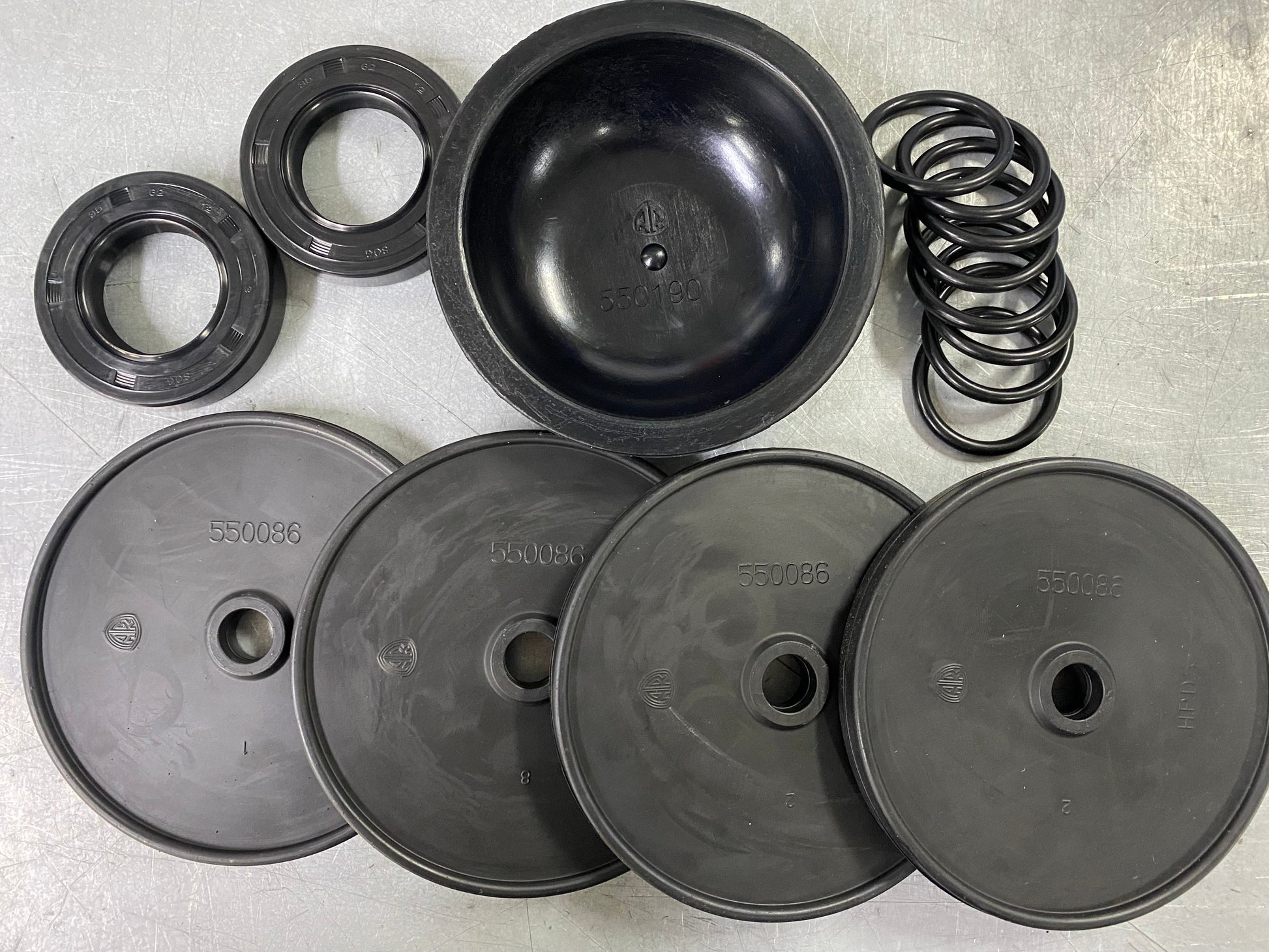 Annovi Reverberi Rebuild Kit Suit AR160 & AR185-CF25 Pump – Sprayer ...