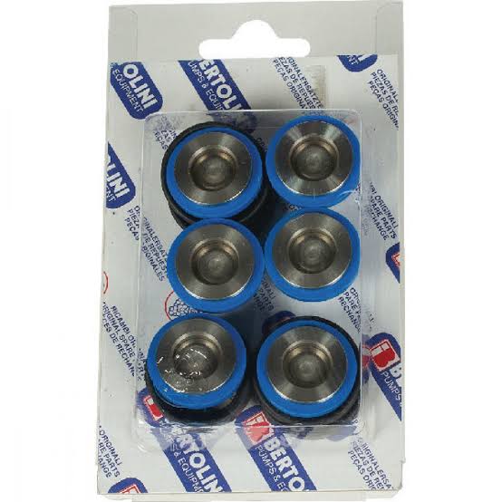 Bertolini Valve kit PA330 & PA430 039875973 – Sprayer Warehouse Co